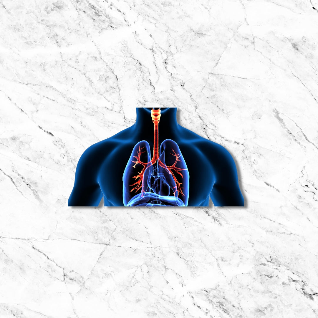 Activol | اکٹیوول – Ashraf Labs