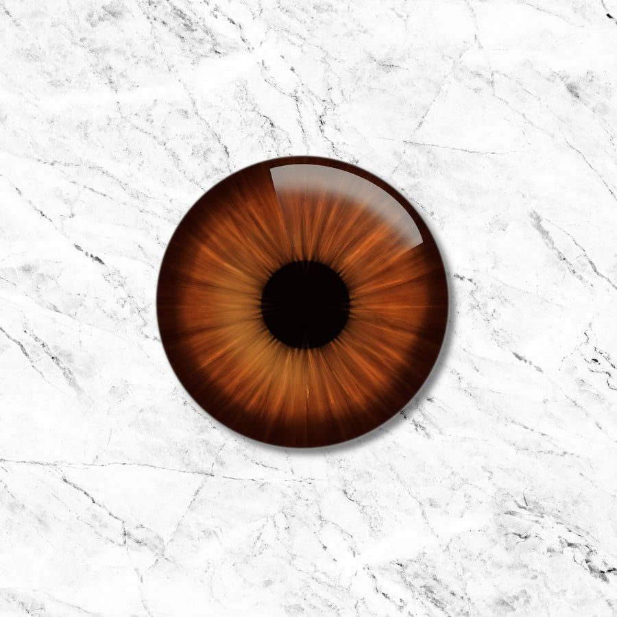 Activol | اکٹیوول – Ashraf Labs