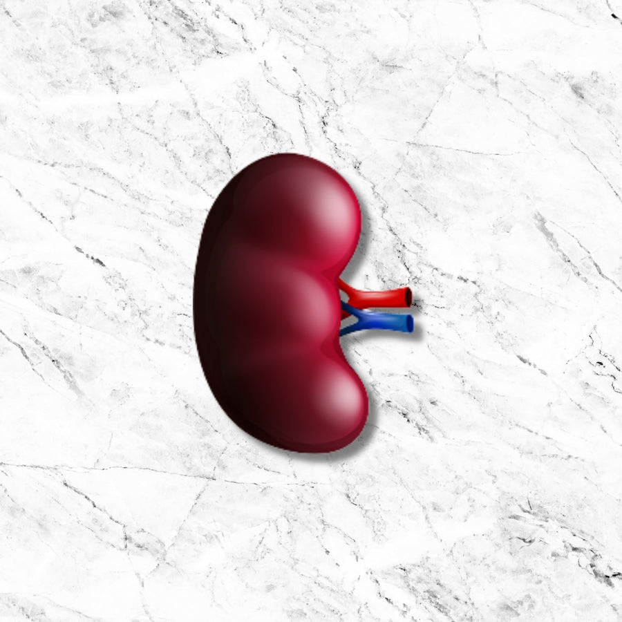 Activol | اکٹیوول – Ashraf Labs